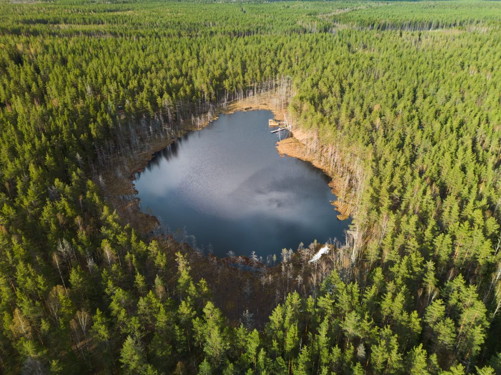 Global LCVM: EO Data integration for global land cover and vegetation ...